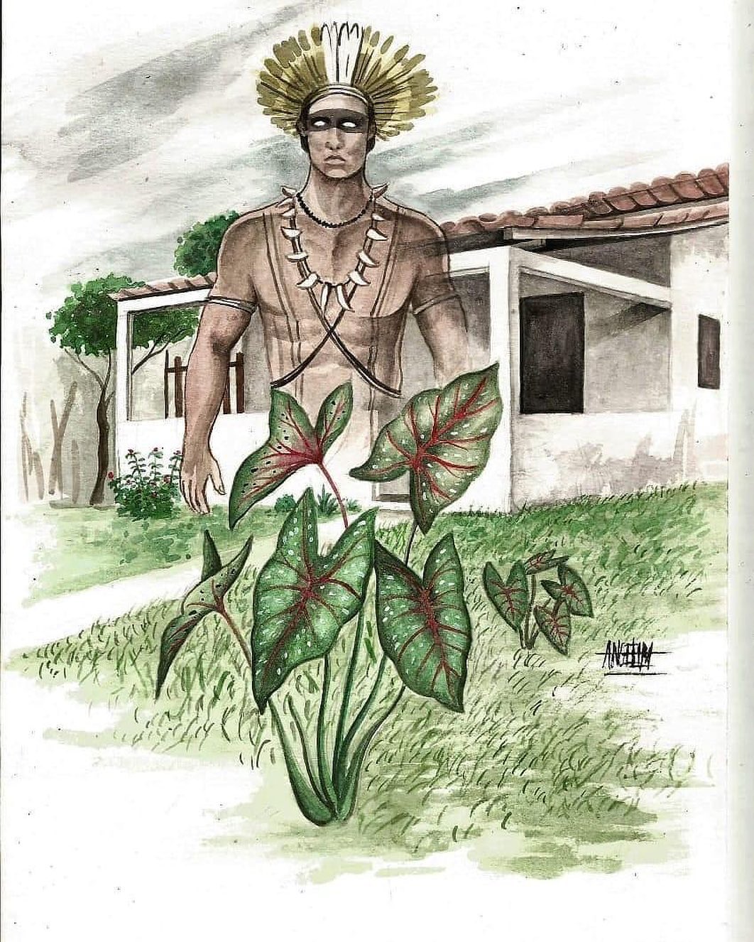 Tamba-Tajá: A Planta Mística e Guardiã | Agronamidia