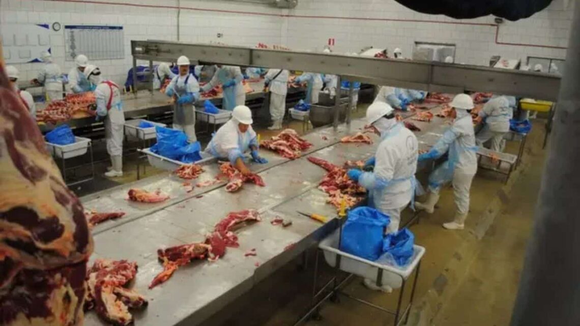 Marfrig interrompe envio de carne bovina aos EUA em Mato Grosso ...