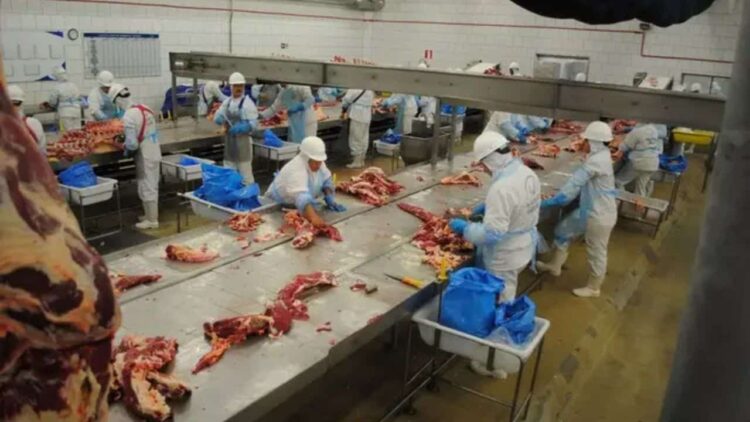 Marfrig interrompe envio de carne bovina aos EUA em Mato Grosso ...